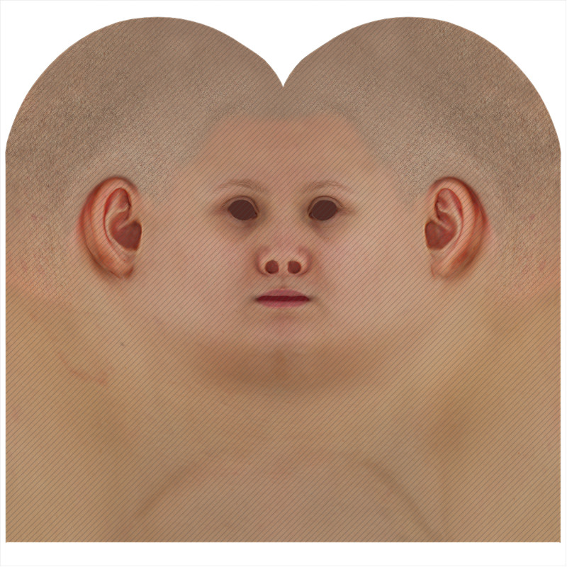 Female Head Texture Map 09